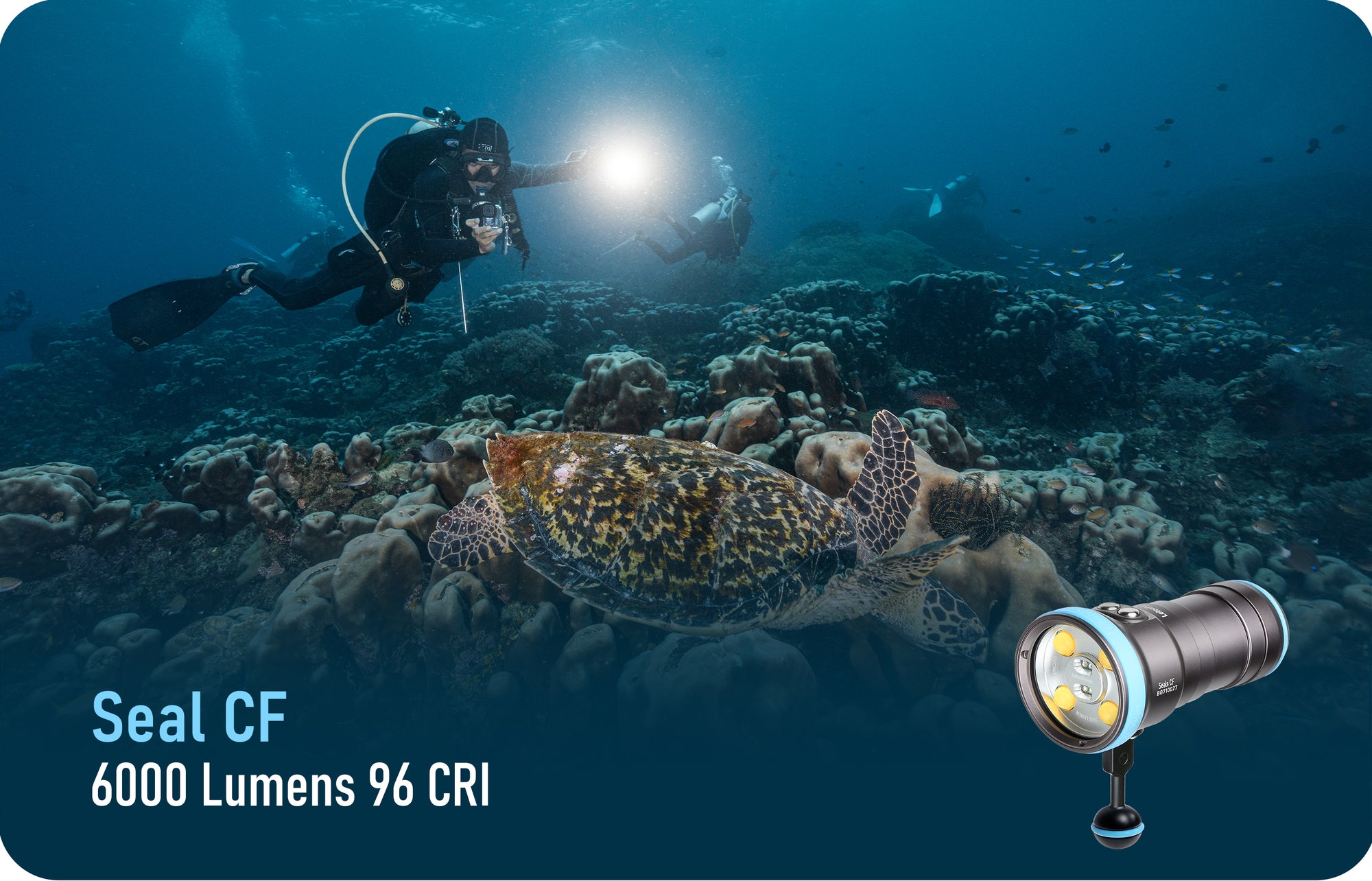 LetonPower Dive Lights – Best Scuba Light & Underwater Video Light ...