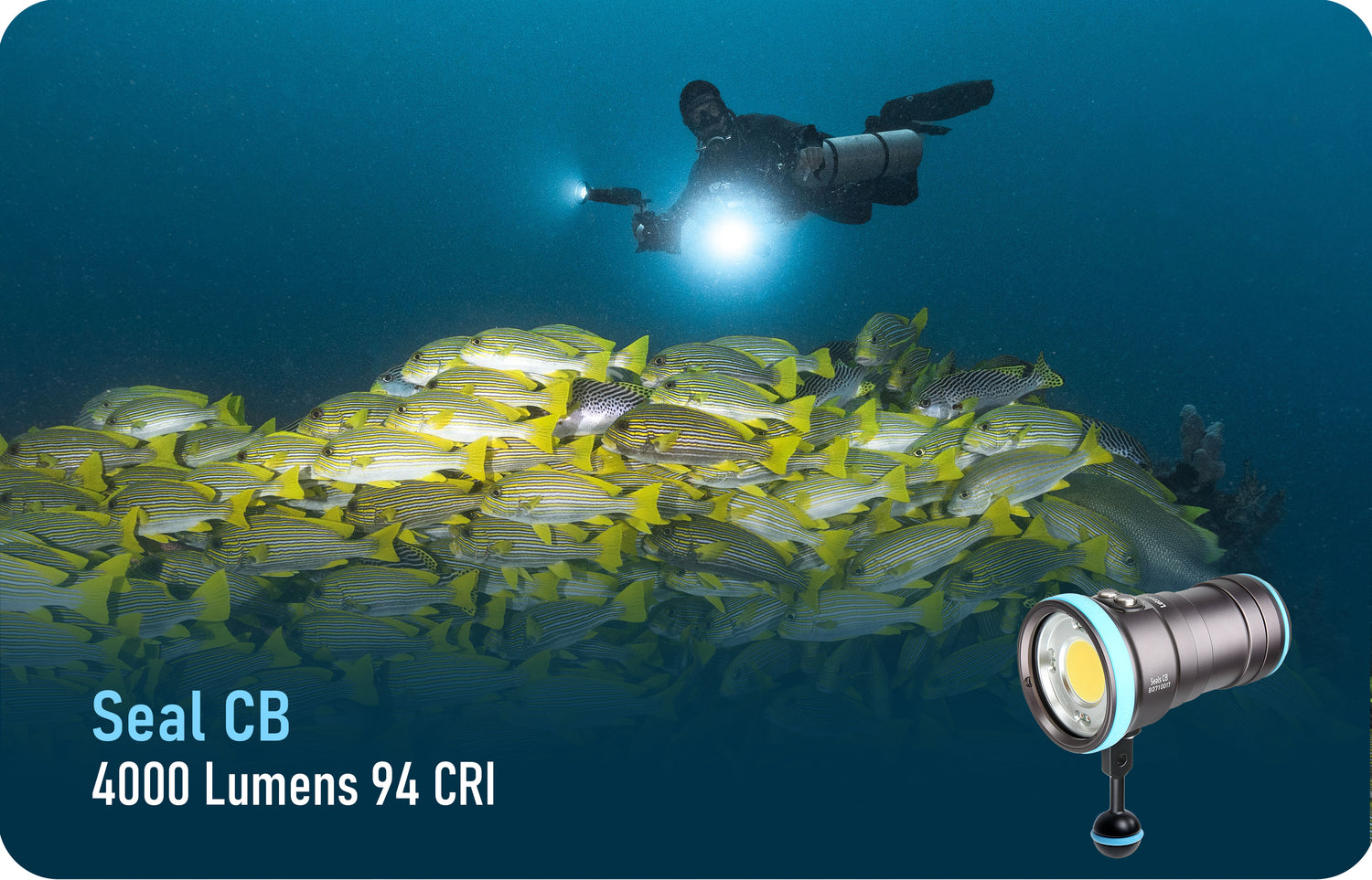 LetonPower Dive Lights – Best Scuba Light & Underwater Video Light ...